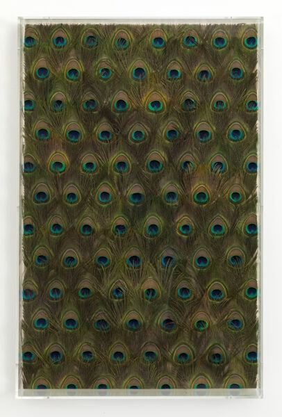 Carol Bove and Her Impact on Modern Art - IRK Magazine