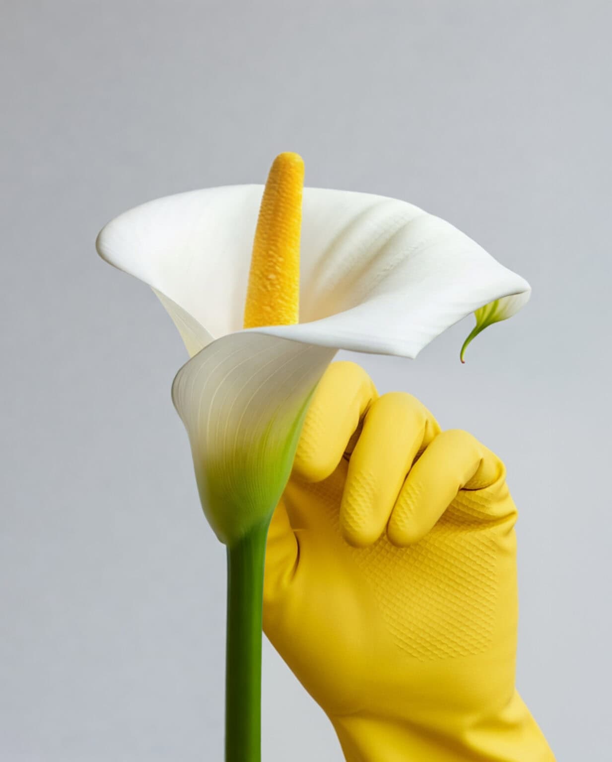 Dudi Ben Simon: Transforming Everyday Objects - IRK Magazine