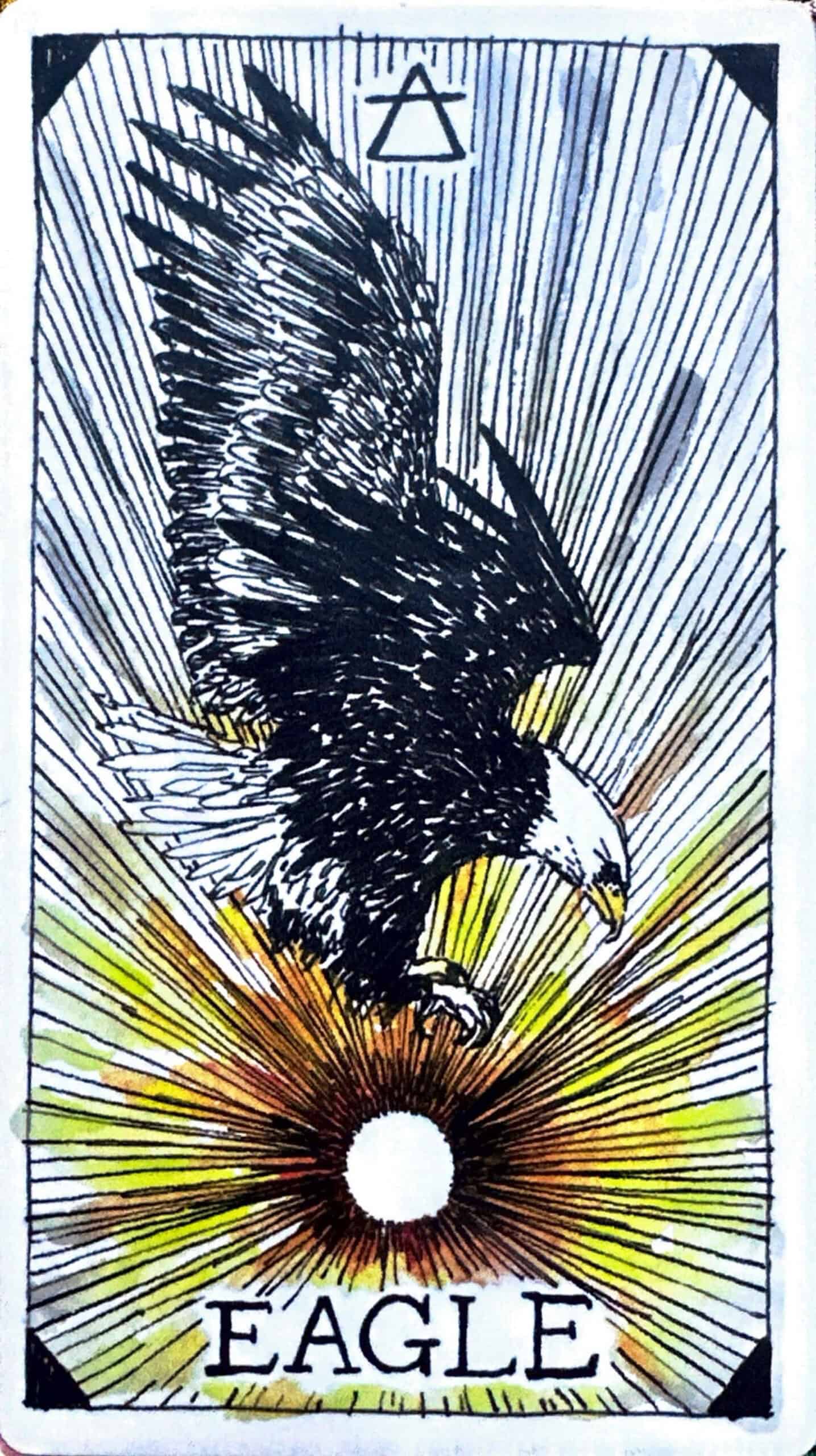 MARCH ORACLE READING: THE EAGLE & THE BEE - IRK Magazine